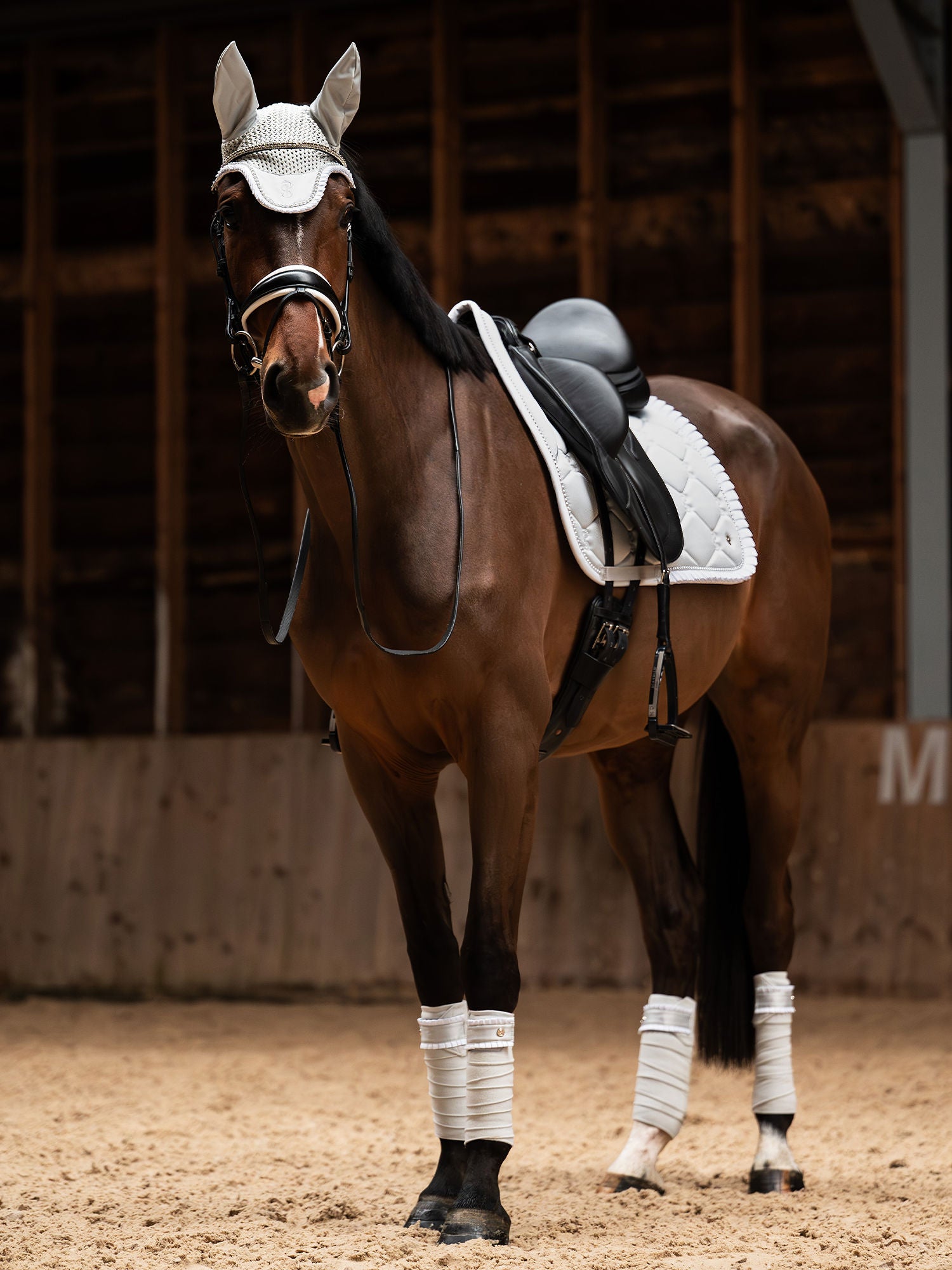 Dressage Saddle Pad – PS of Sweden, SA