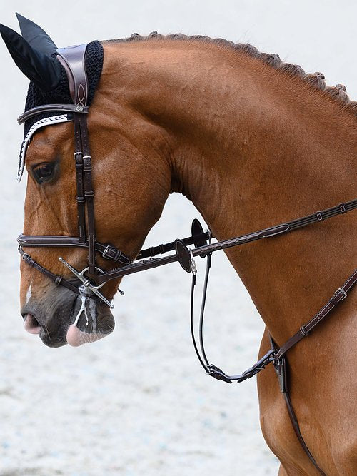 Bridle Stockholm – PS Bridles